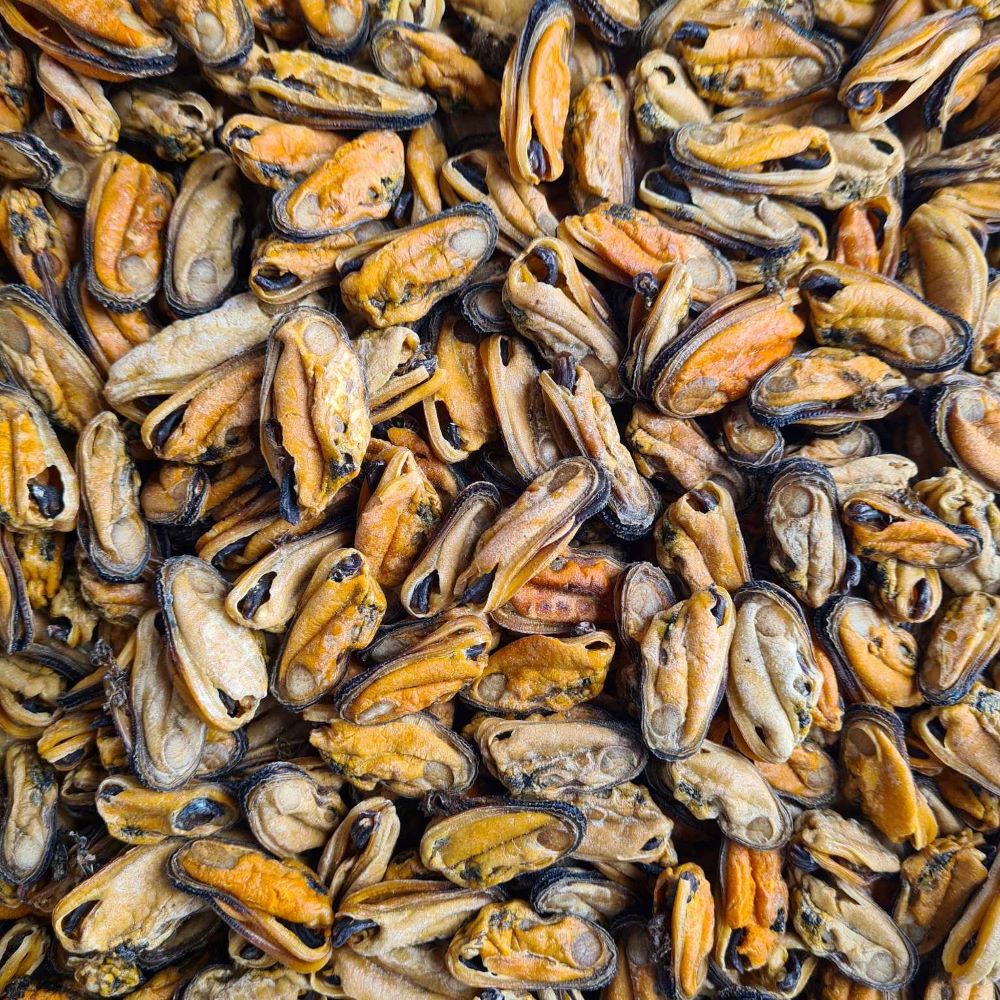 NZ Green Lipped Mussels 100g — Banquet Pet NZ