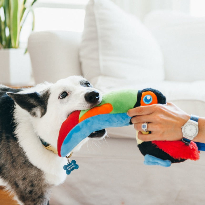 P.L.A.Y. Fetching Flock - Toucan — Banquet Pet NZ